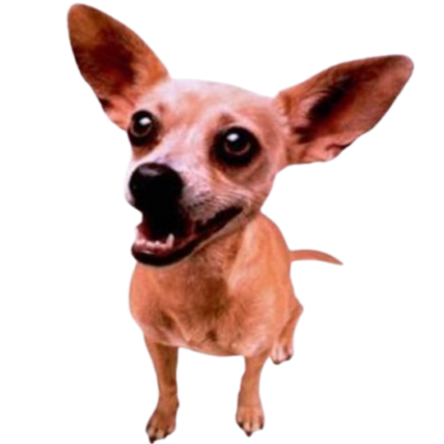 Tacobell Dog | Evade Fanmade Nextbots Wiki | Fandom
