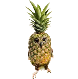 Pineapple Owl | Evade Fanmade Nextbots Wiki | Fandom