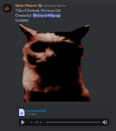 Ominous Cat | Roblox Evade Wiki | Fandom