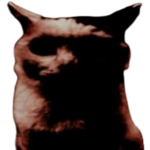 Ominous Cat | Roblox Evade Wiki | Fandom