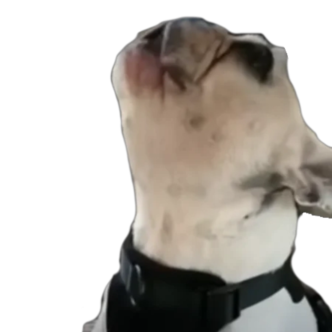 Walter | Roblox Evade Wiki | Fandom