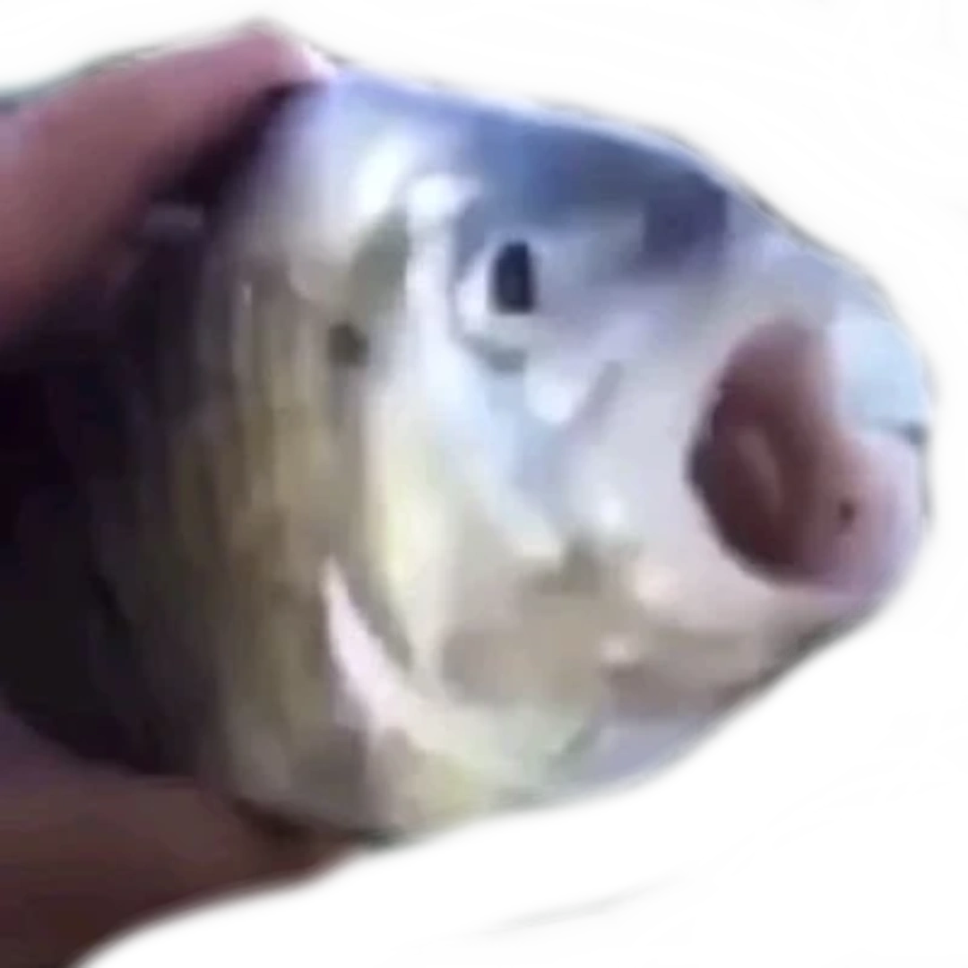 Killer Fish | Roblox Evade Wiki | Fandom