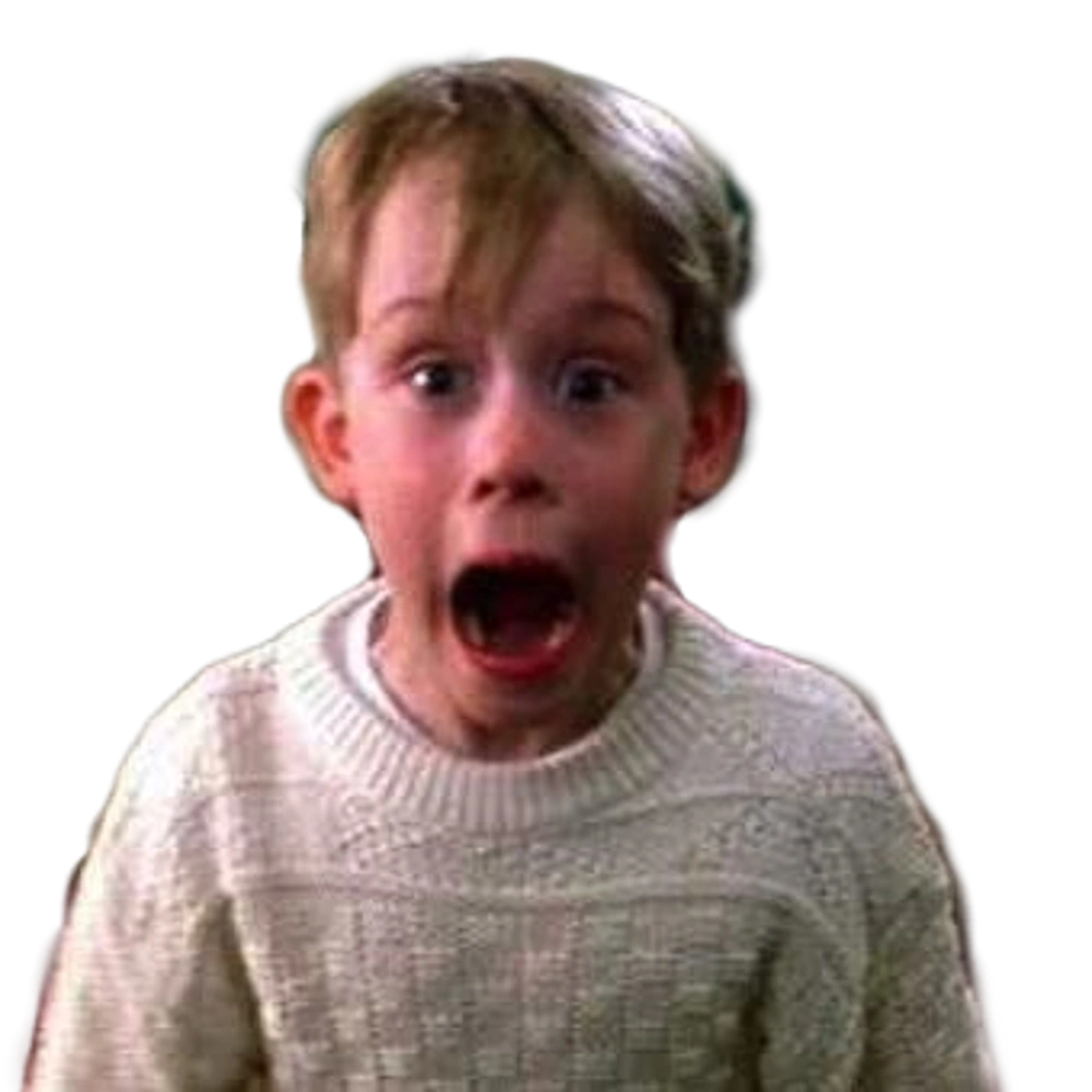 Home Alone | Roblox Evade Wiki | Fandom