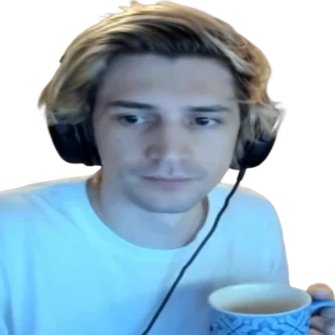 Xqc | Roblox Evade Wiki | Fandom