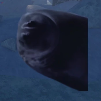 Seal | Roblox Evade Wiki | Fandom