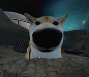 Custom | Roblox Evade Wiki | Fandom