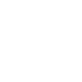 Custom | Roblox Evade Wiki | Fandom