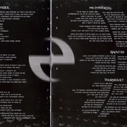 fallen ever evanescence