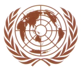 United Nations | Evangelion | Fandom
