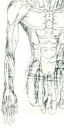 Ireul/Gallery | Evangelion | Fandom