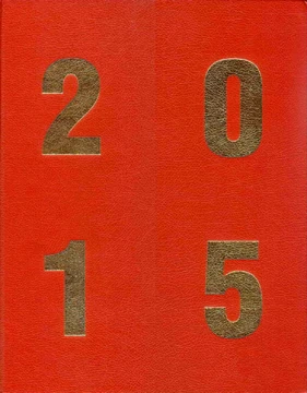 2015 The last year of Ryohji Kaji - その他