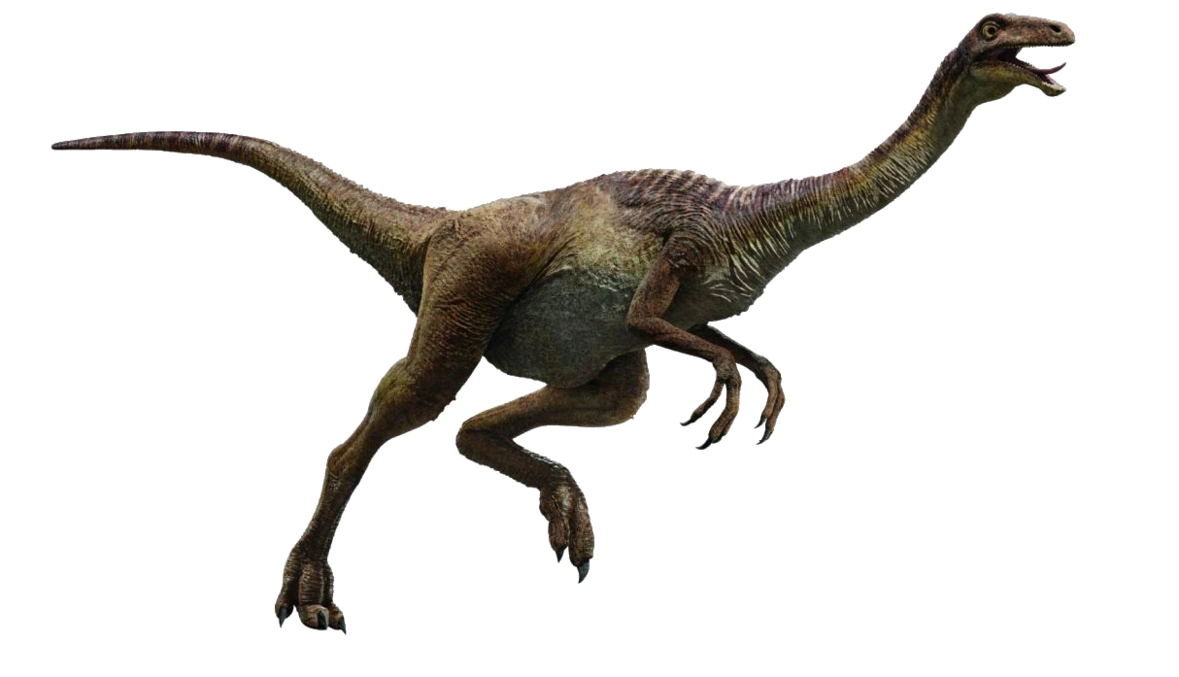 Gallimimus | Evanverse Encylopedia Wiki | Fandom
