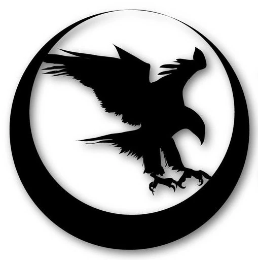 Nighthawk (Corporation) | Evaron Wikia | Fandom