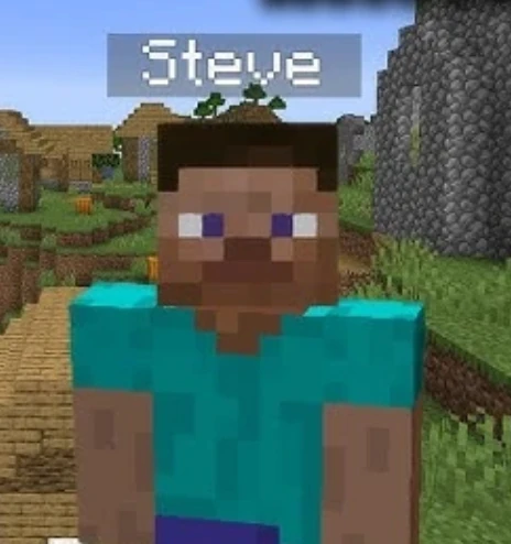 Steve | Evbo Wiki | Fandom