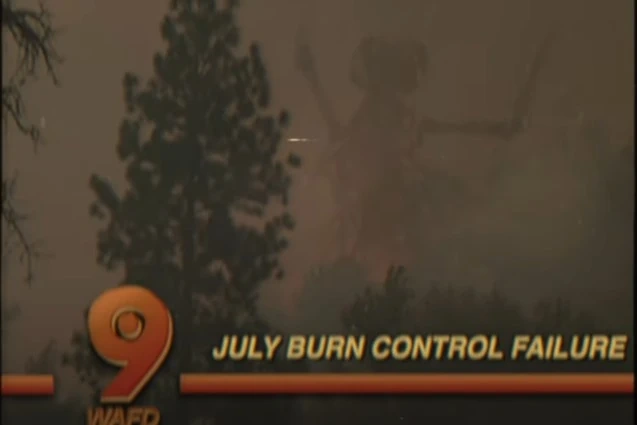 WAFD Ashenfield | Eventide Media Center Wiki | Fandom