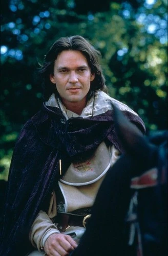 Prince Henry | Ever After: A Cinderella Story Wiki | Fandom