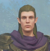 Forest Guardian | Ever Legion-EN Wiki | Fandom