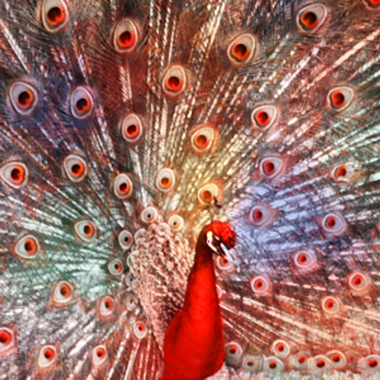 Faeora | Ever After High Fandom Wiki | Fandom