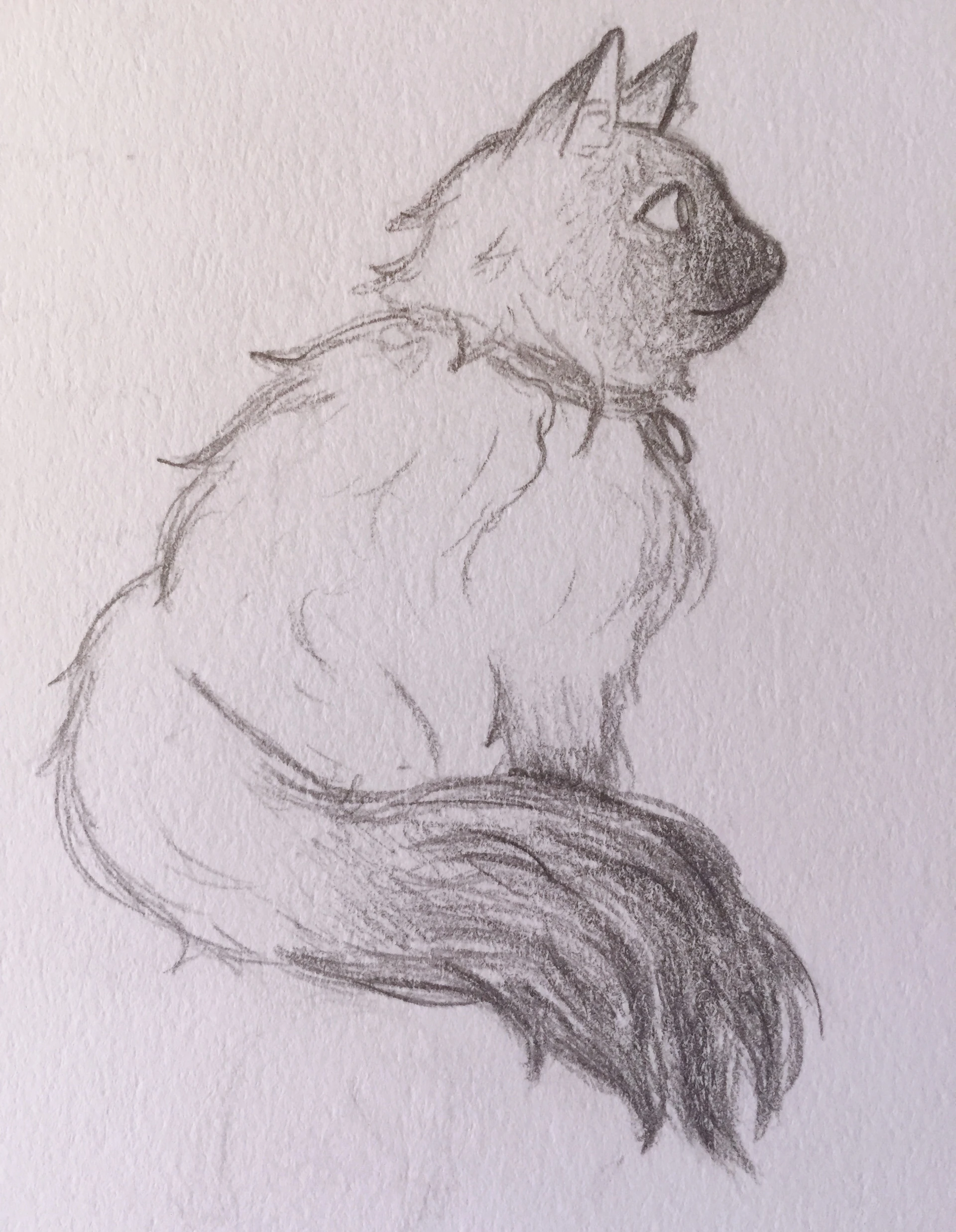 Xunfei V. Zhu | Ever After High Fandom Wiki | Fandom