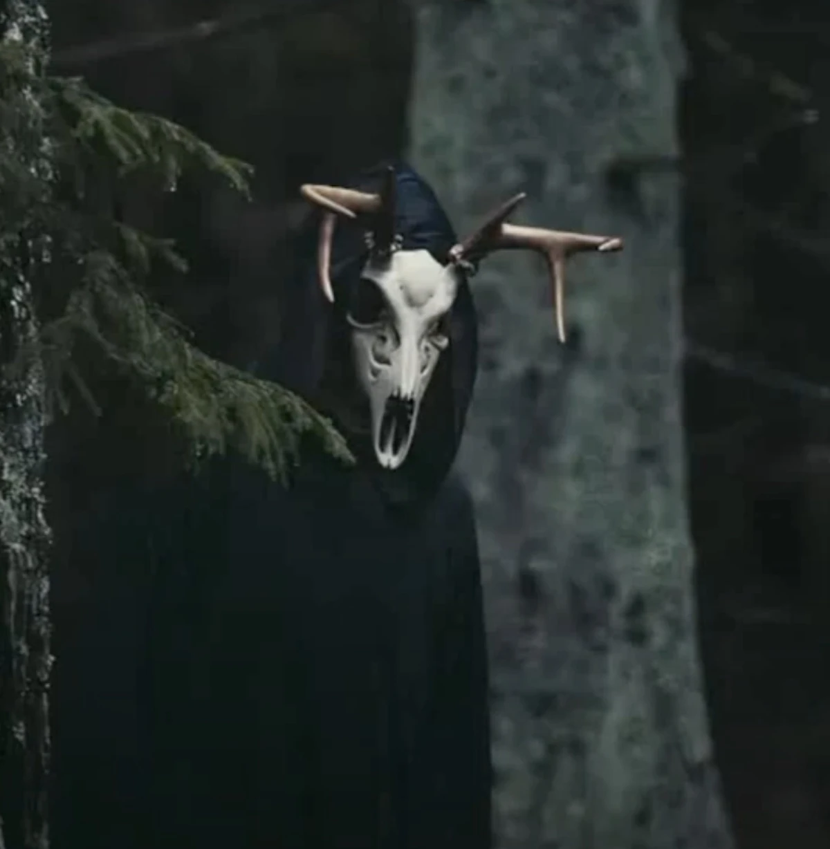 Deer-Masked Stranger | EvergeenNova Wiki | Fandom