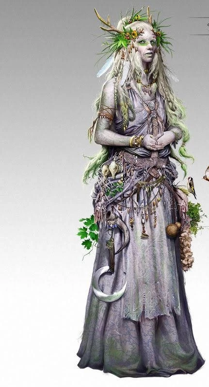 Vassel | Wiki Everlast | Fandom