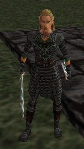 Wood Elf | EverQuest Wiki | Fandom
