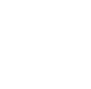 Salvor Armament Group - Official Everspace Wiki