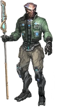 Tareen - Official Everspace Wiki