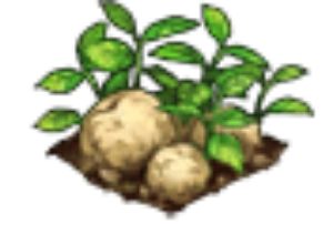 Potato | Every Farm Wiki | Fandom