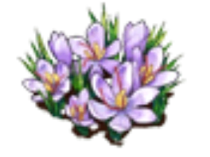 Saffron | Every Farm Wiki | Fandom