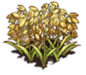 Oats | Every Farm Wiki | Fandom