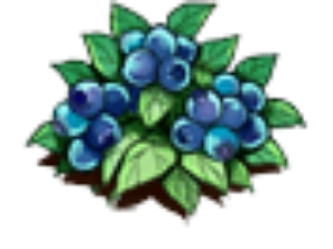 Blueberry | Every Farm Wiki | Fandom