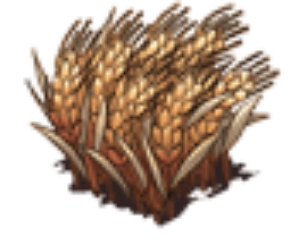 Wheat | Every Farm Wiki | Fandom