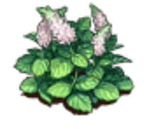 Mint | Every Farm Wiki | Fandom