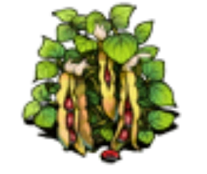 Azuki Bean | Every Farm Wiki | Fandom