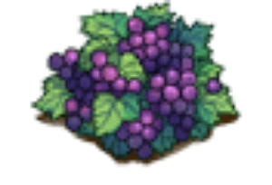 Grape | Every Farm Wiki | Fandom