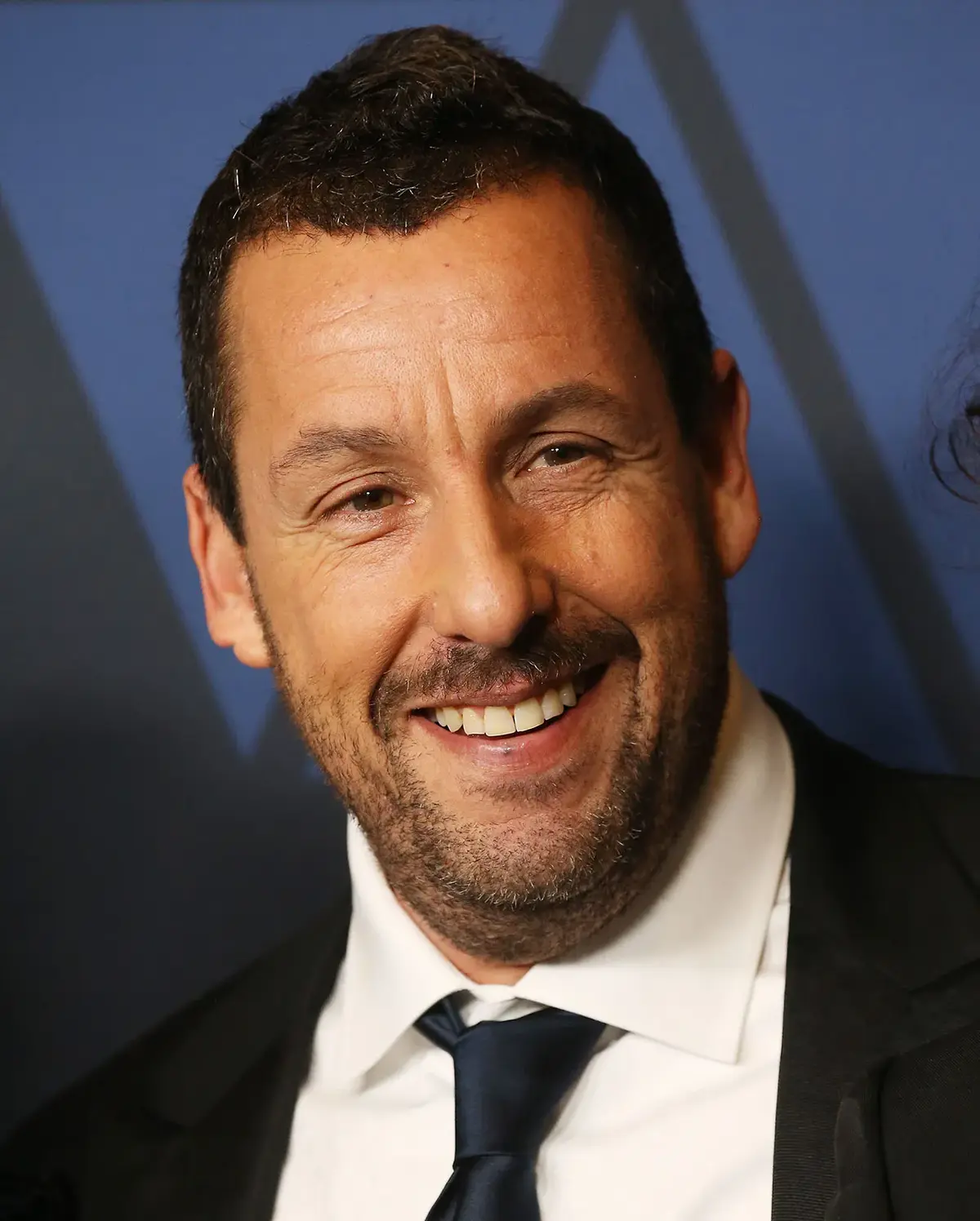 Adam Sandler (person) | Every Little Thing Wiki | Fandom