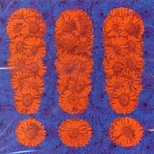 album) | Every Little Thing Wiki | Fandom