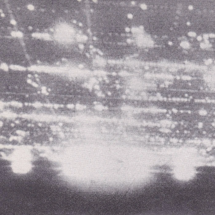 Going Places (Yellow Swans album) | Every Little Thing Wiki | Fandom