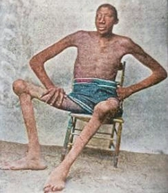 John William Rogan | Every person over 6ft6 Wiki | Fandom