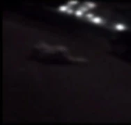 The Rake | EverymanHYBRID Wiki | Fandom