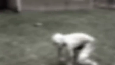 The Rake | EverymanHYBRID Wiki | Fandom