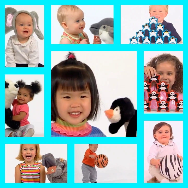 Wild Animal Crew | Everything and Anything to Know Wiki | Fandom