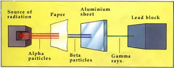 Alpha α | Everything Wiki | Fandom