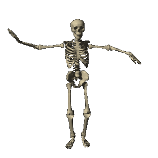 Dancing Skeleton Number 1 | Everything Characters Wiki | Fandom