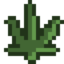 Devil's Cabbage | Everything Is Bad Wiki | Fandom