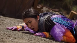 Fern | Everything Power Rangers Wiki | Fandom