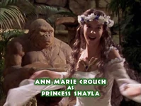 Power Rangers Wild Force | Everything Power Rangers Wiki | Fandom