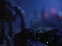 Aquitar | Everything Power Rangers Wiki | Fandom