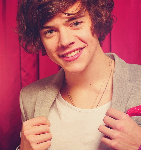 Harry Styles | Everything About You Fanfiction Wiki | Fandom